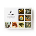 Visual Connection Games | Creative Play by OuiSi