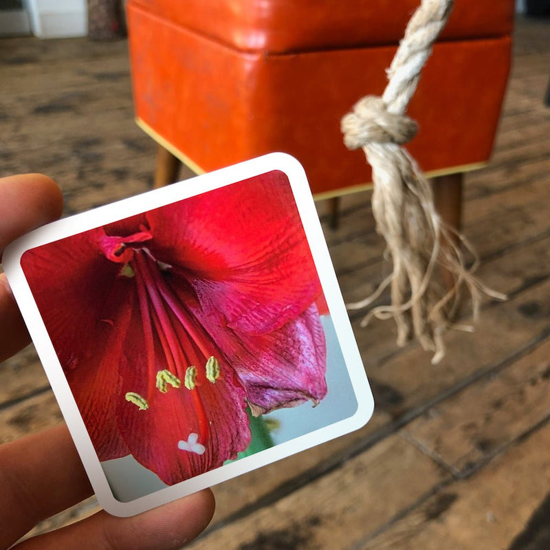 Visual Connection Games | Creative Play by OuiSi